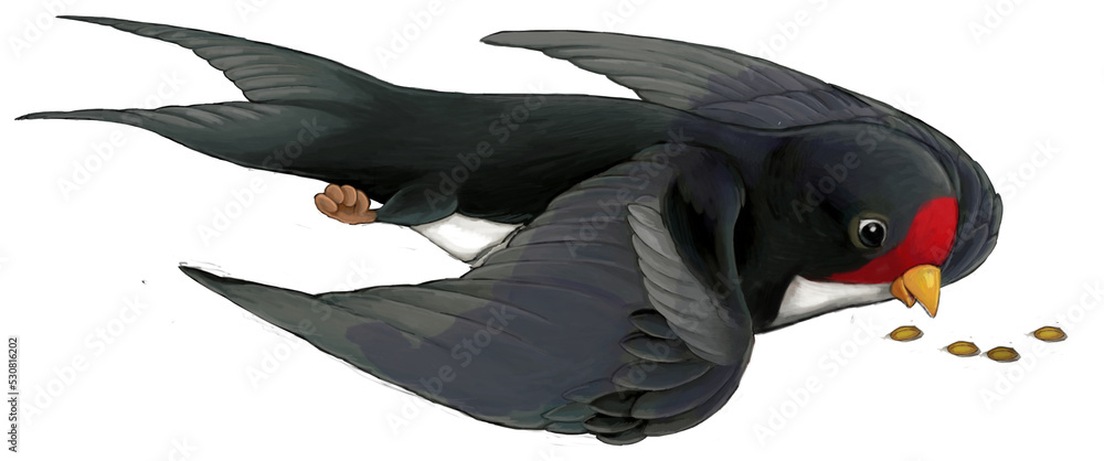 cartoon fairy tale animal - cuckoo bird isolated illustration for ...