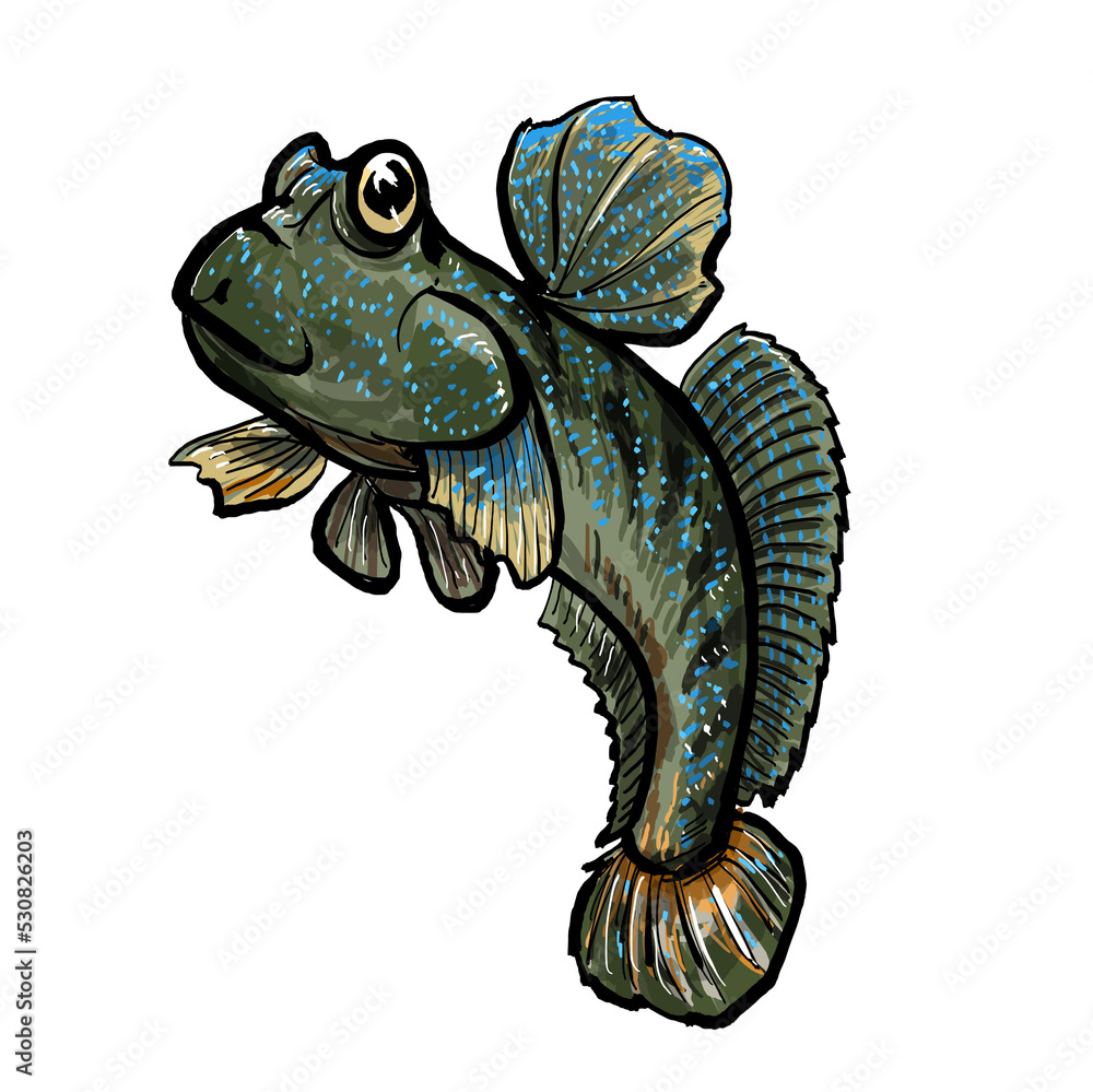 mudskipper Stock Illustration | Adobe Stock