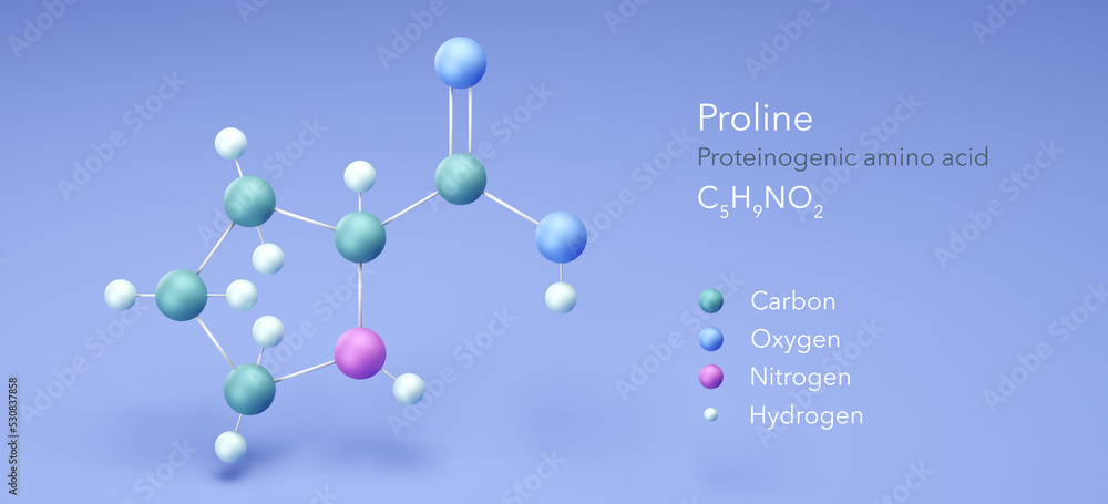 proline, molecular structures, proteinogenic amino acid, 3d model ...