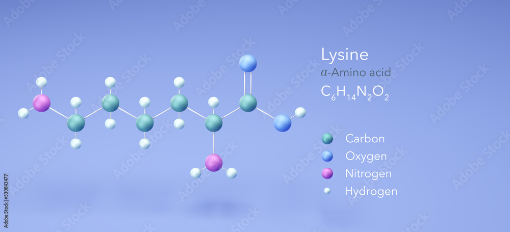 lysine, molecular structures, amino acid, 3d model, Structural Chemical ...