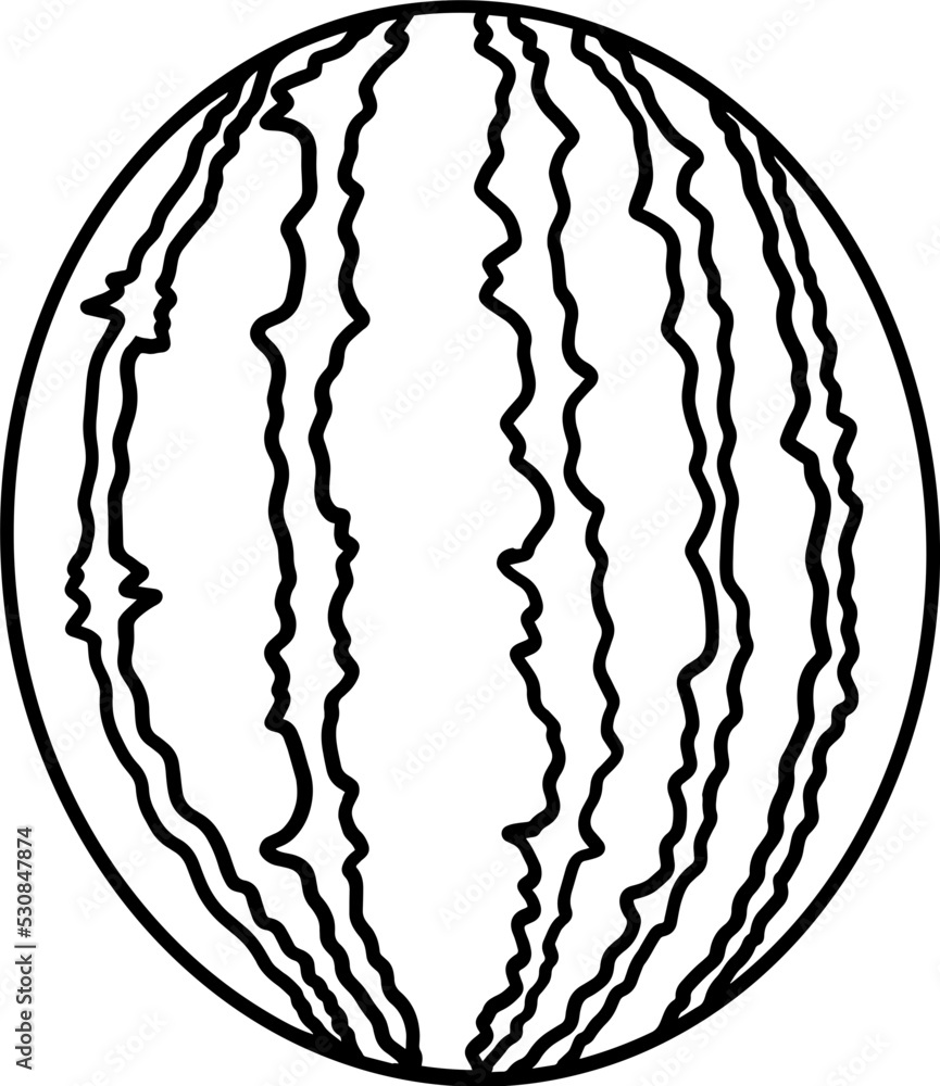 watermelon fruit line drawing outline Stock Vector | Adobe Stock