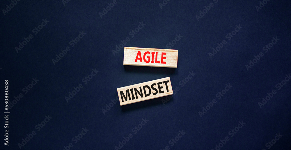 Agile Mindset Symbol Concept Words Agile Mindset On Wooden Blocks