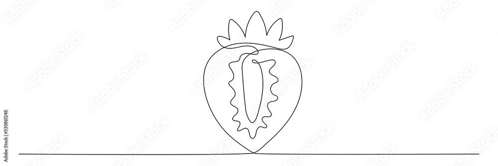 Strawberry continuous one line drawing. Hand drawn linear strawberries ...