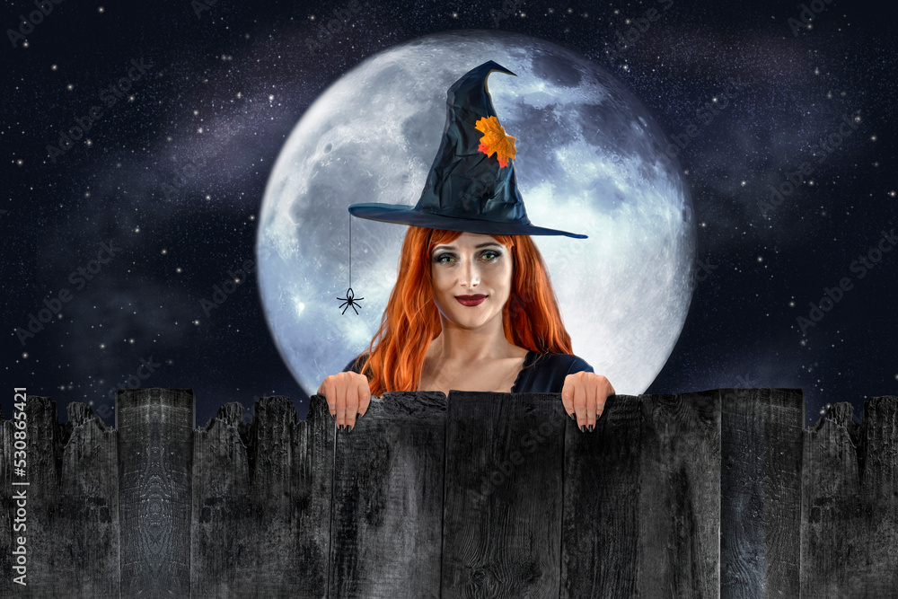Halloween Witch peeking out behind a fence or wooden wall. Female ...