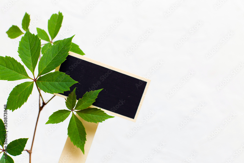 nameplate for plants with a green branch on a white background. garden ...