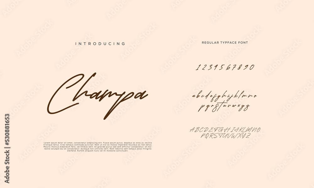 Handwritten Script font. Hand drawn brush style modern calligraphy ...