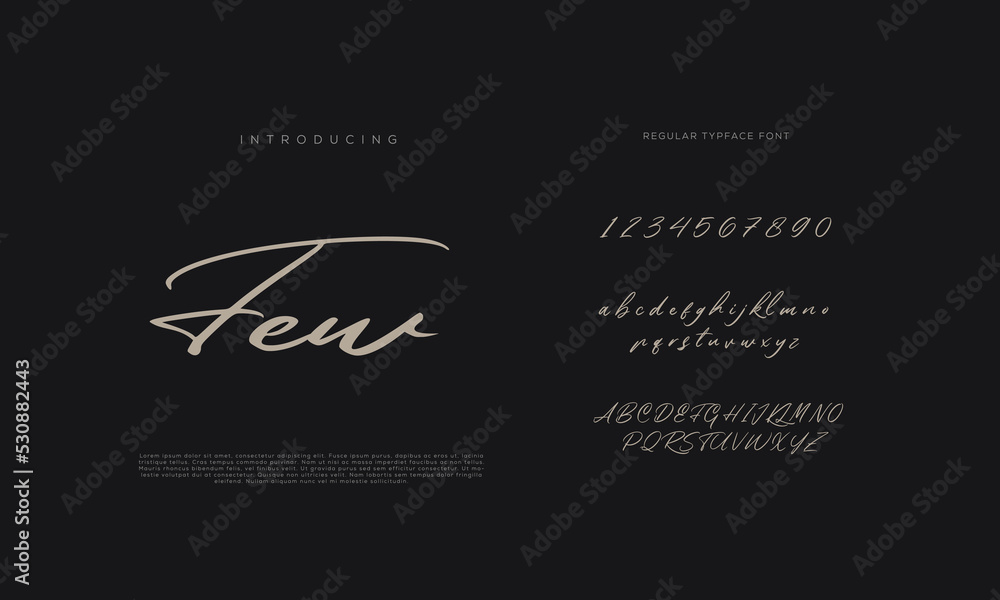 Handwritten Script font. Hand drawn brush style modern calligraphy ...