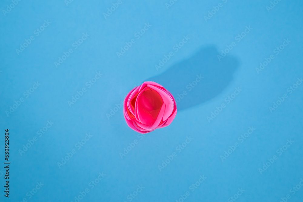 Rosa sobre fondo celeste en diferentes lados, fondo celeste para diseño ...