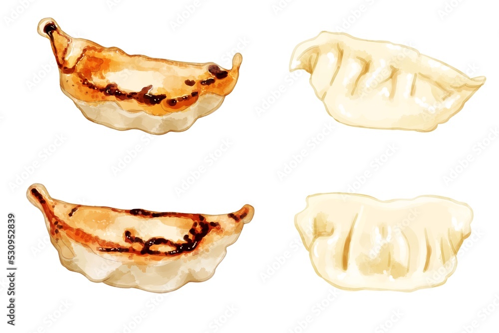 手描き水彩の餃子イラストセット Stock Illustration | Adobe Stock