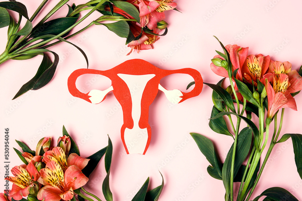 Symbolic model of the uterus with alstroemeria flowers on a pink ...