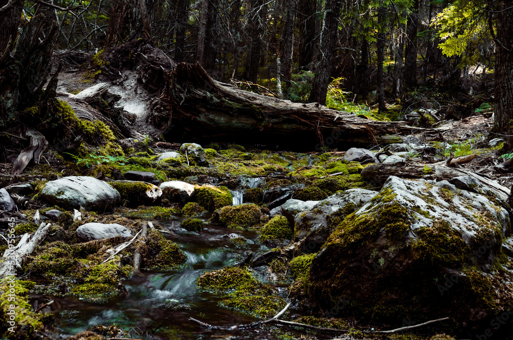 Running glacier melt water in a shallow stream along the Trail of ...
