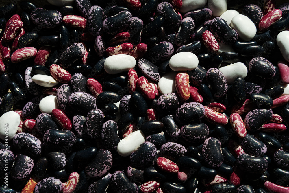 Сlose-up of colored beans. Various types of the kidney bean Stock Photo ...