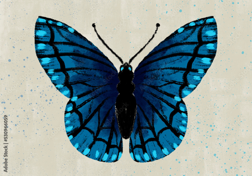 Blue Black Butterfly Digital Illustration. Menelaus blue morpho species ...