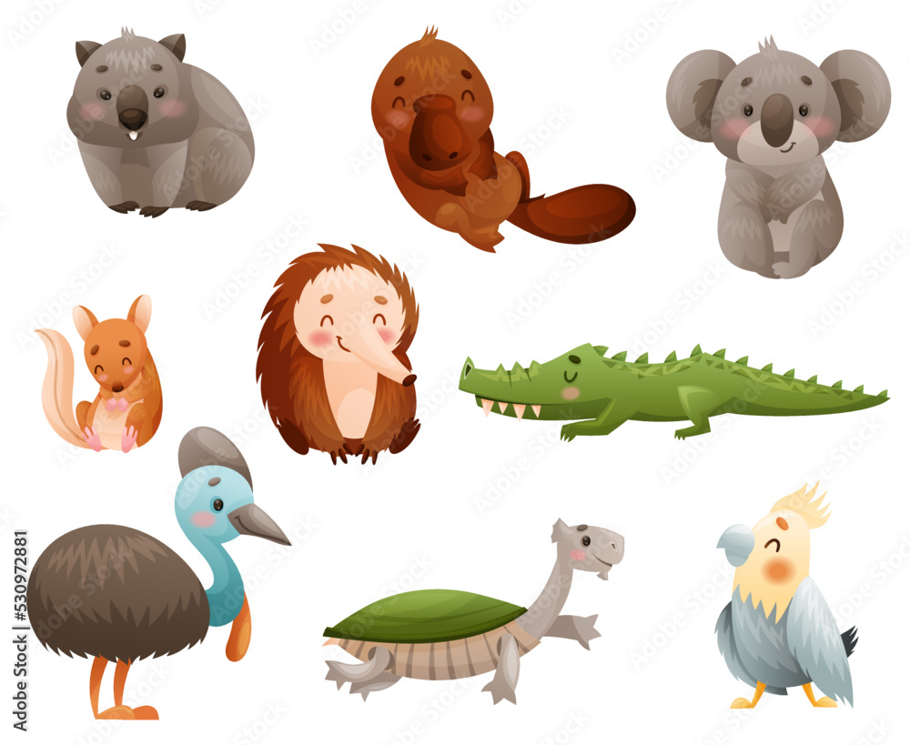 Cute Australian Animals and Endemic Fauna with Echidna and Koala Vector ...