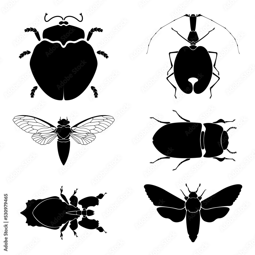 Vector illustration with insect silhouettes isolated on white ...