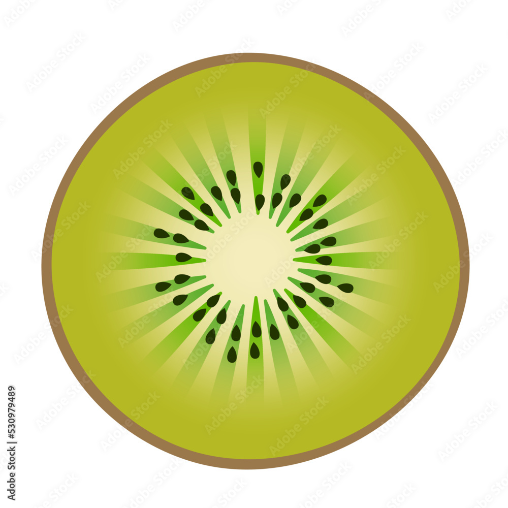 kiwi fruit slice vector illustration logo icon clipart isolated on ...
