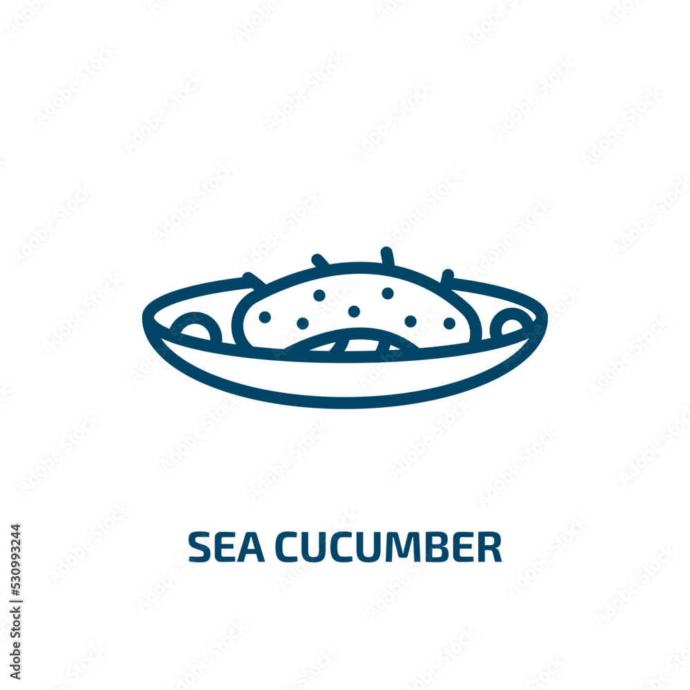 sea cucumber icon from food and restaurant collection. Thin linear sea ...