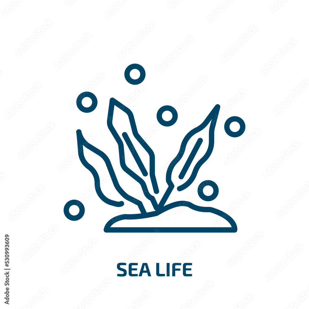 Sea Life Food Web
