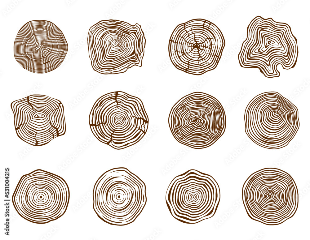 Pine log cut. Forest tree rings, natural sawn and trunk cross section ...