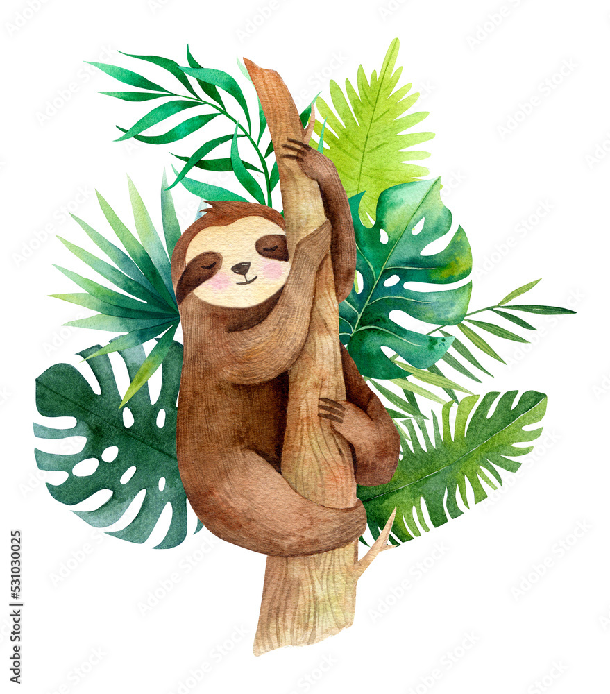 Watercolor baby animal jungle illustration, safari animals. Sloth bear ...