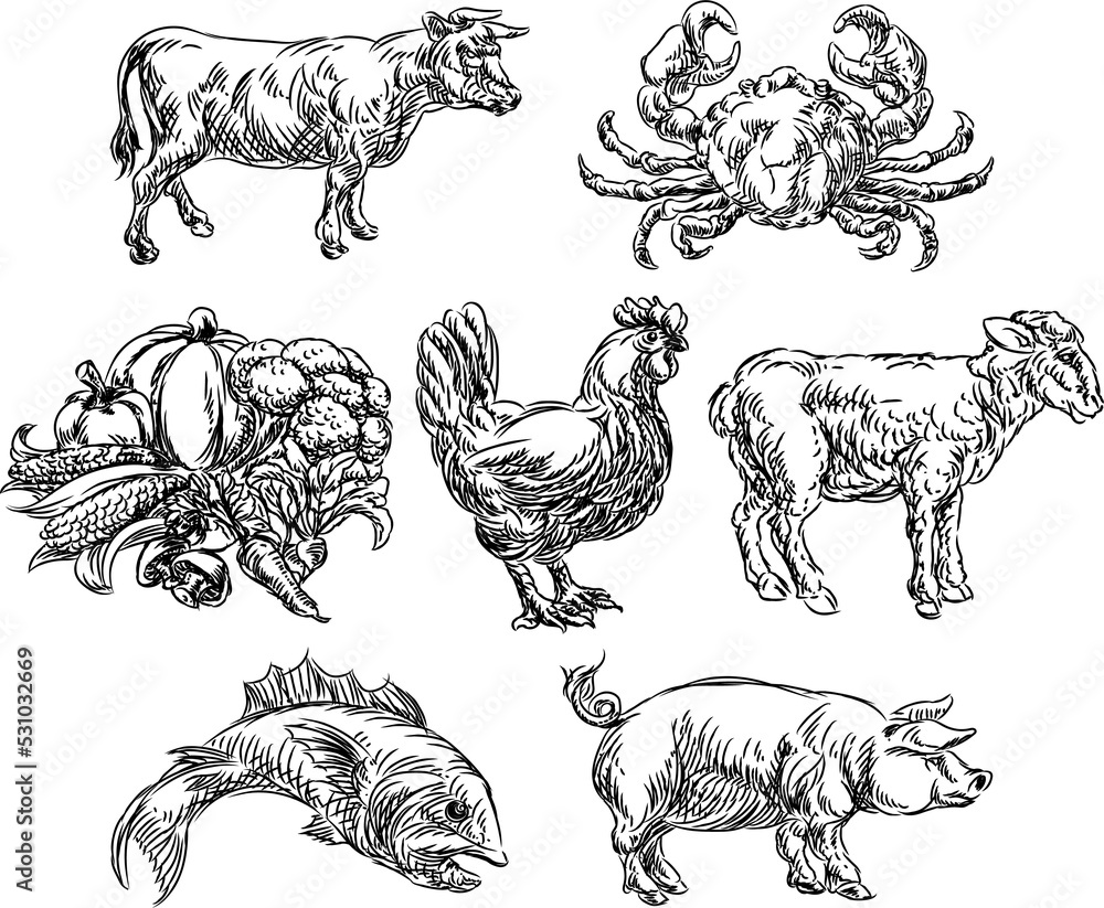 Food Groups Grunge Hand Drawn Menu Options Icons Stock Illustration ...