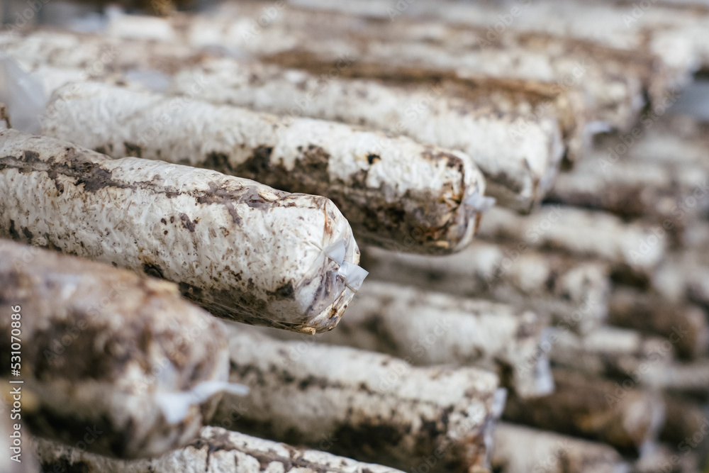 Natural substrate packs for cultivating mushrooms in vertical mushroom ...