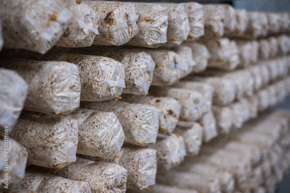 Natural substrate packs for cultivating mushrooms in vertical mushroom ...