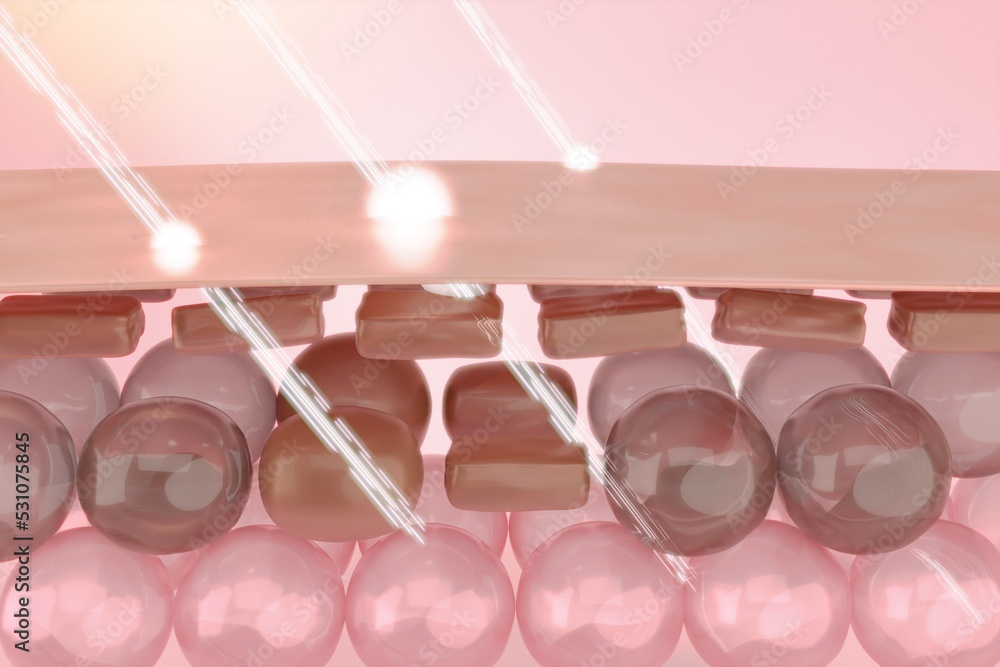 sunlight shot through skin and harming cells and collagen. sunblock and ...