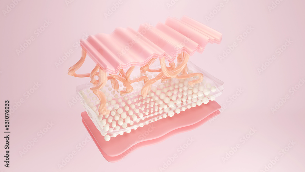Skin elastin and collagen layer for cosmetic and facial treatment ...