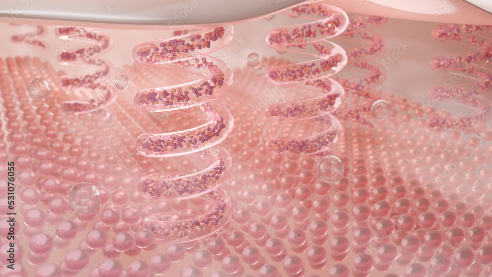 Elasticity of elastin and collagen under skin after using serum or ...