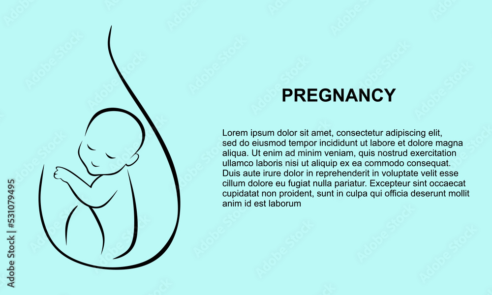 Template banner medical pregnancy. Medical illustration of fetus in ...
