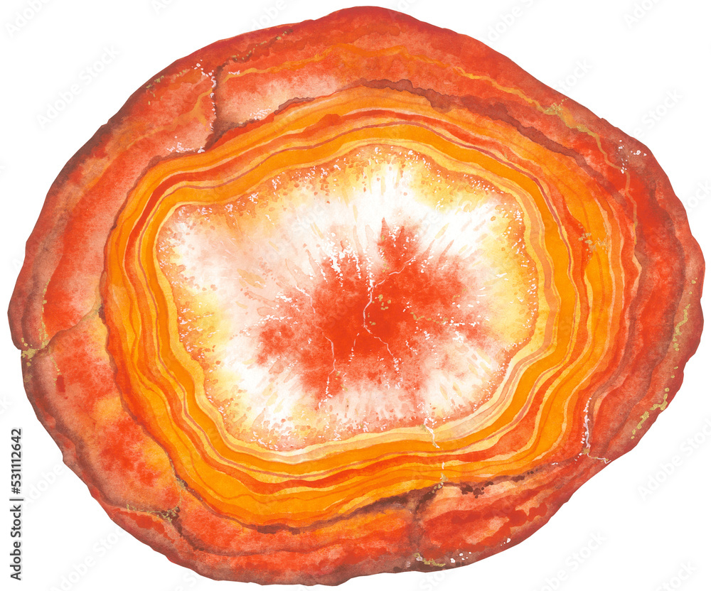 Transparent Background carnelian Illustration Png. Transparent Clipart ...