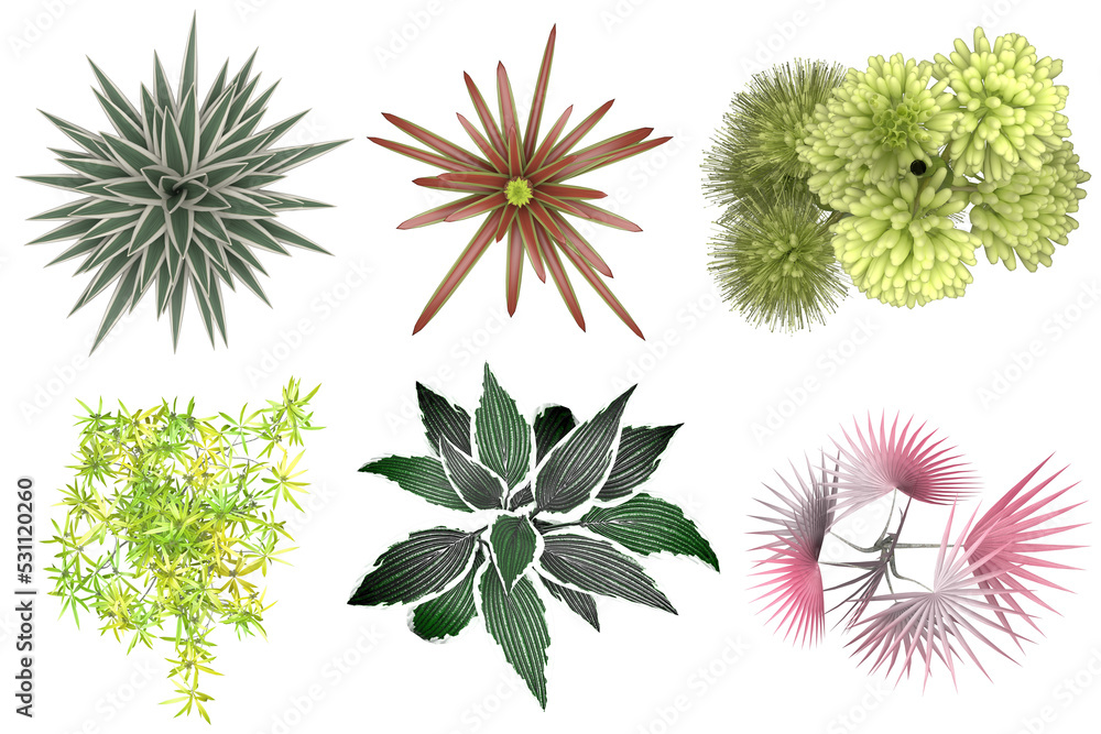 Pack of PNG vegetation. +6K. Tropical Bushes. Made from 3D model for ...