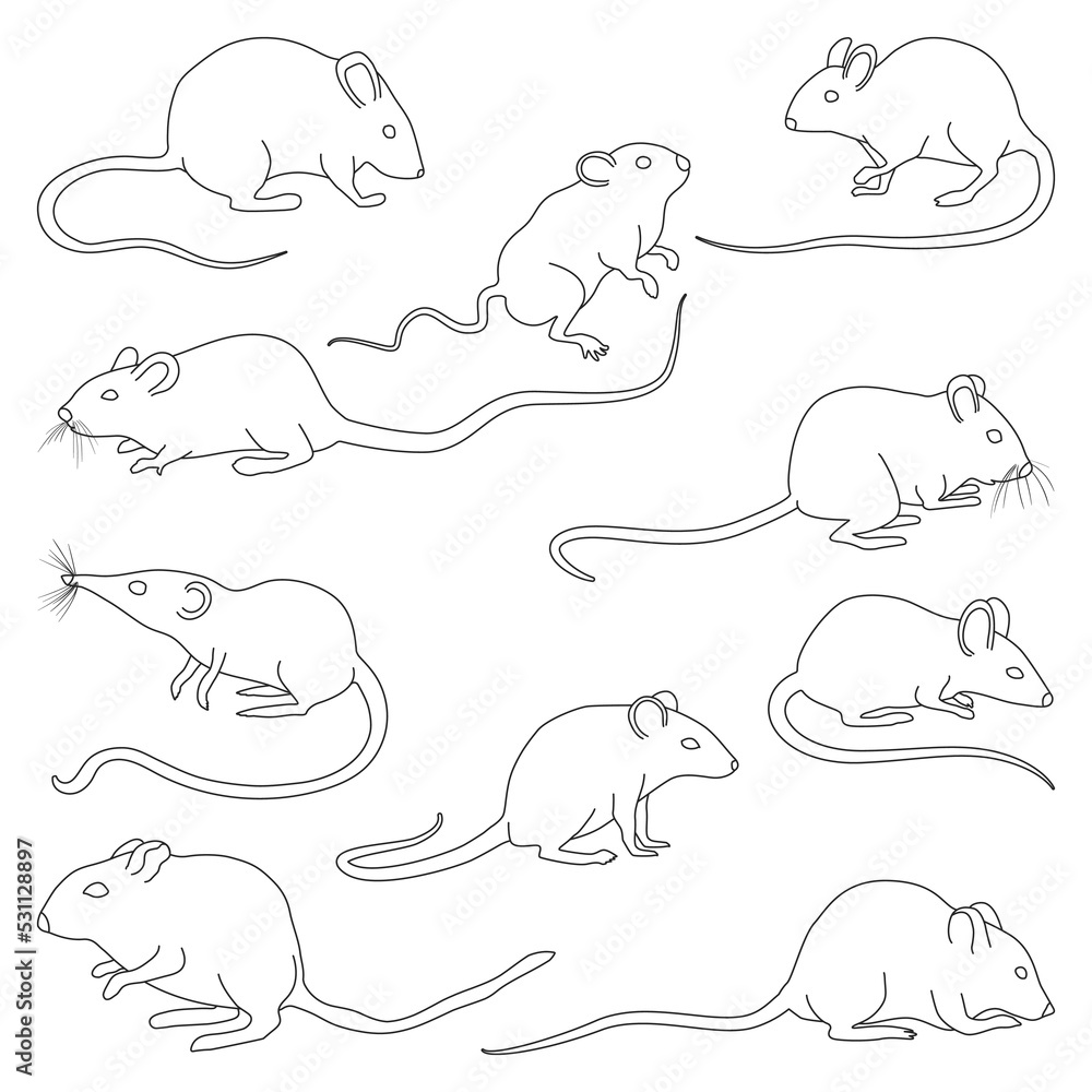 Mouse of animal isolated outline set icon. Vector illustration mouse of ...