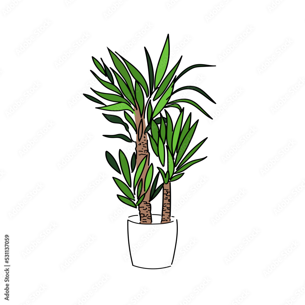 vector illustration palm yucca hand line contour and color Stock Vector ...