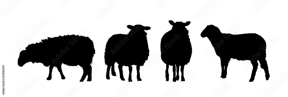 set of silhouettes of sheep Stock Vector | Adobe Stock