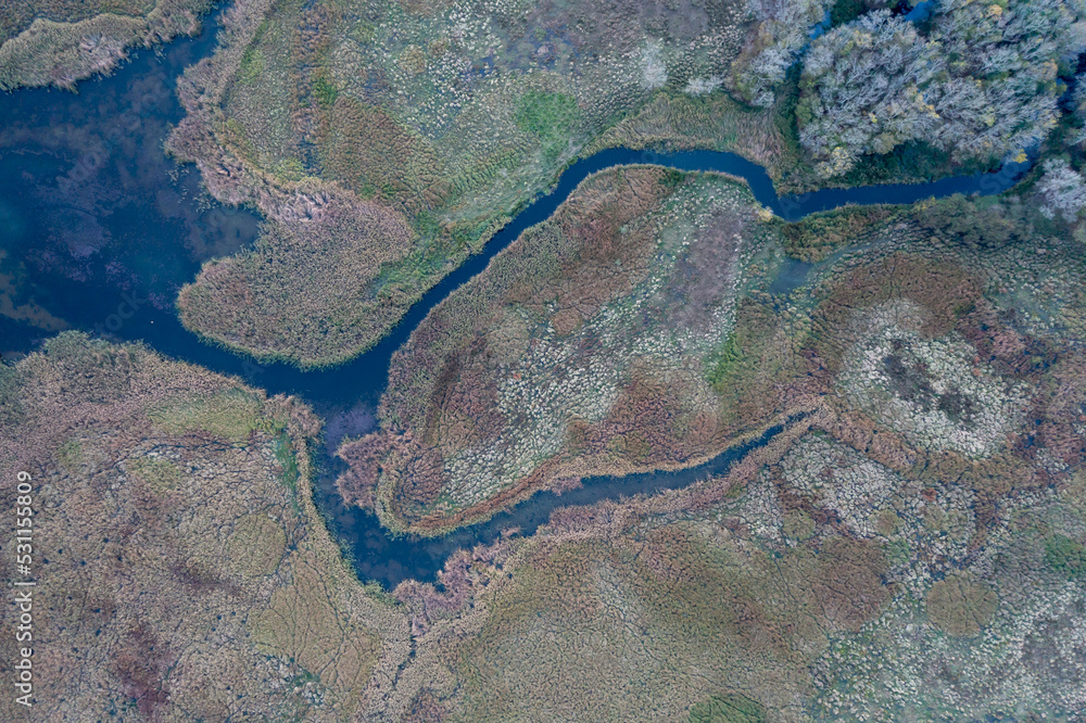 Aerial photo of lake on a national park, top view of water and leafs ...