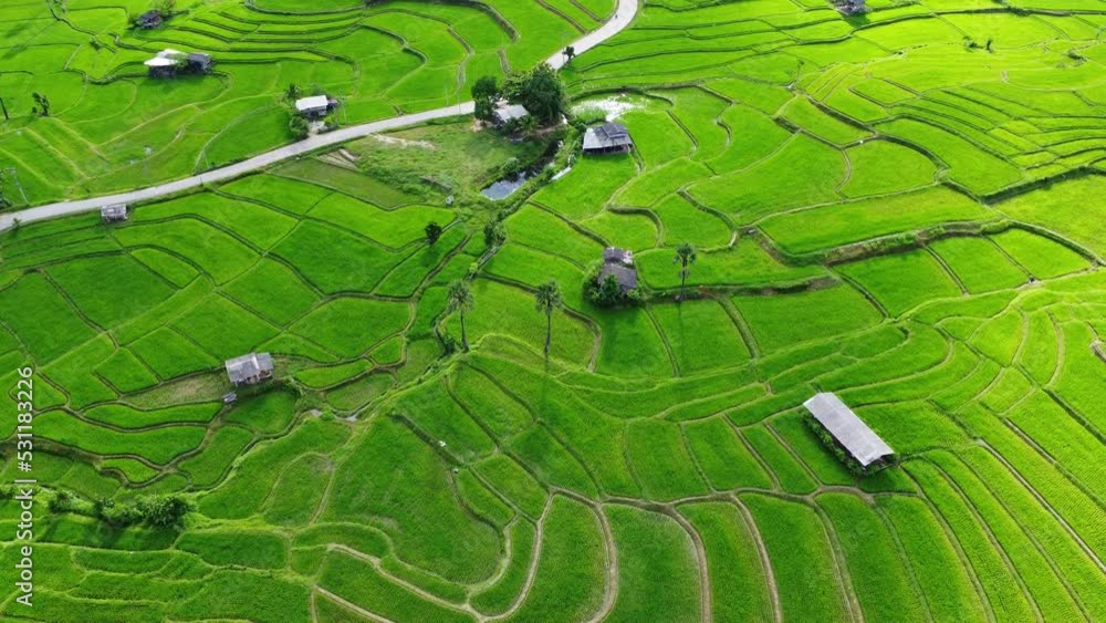 Aerial view of the green rice terraces on the mountains in spring ...