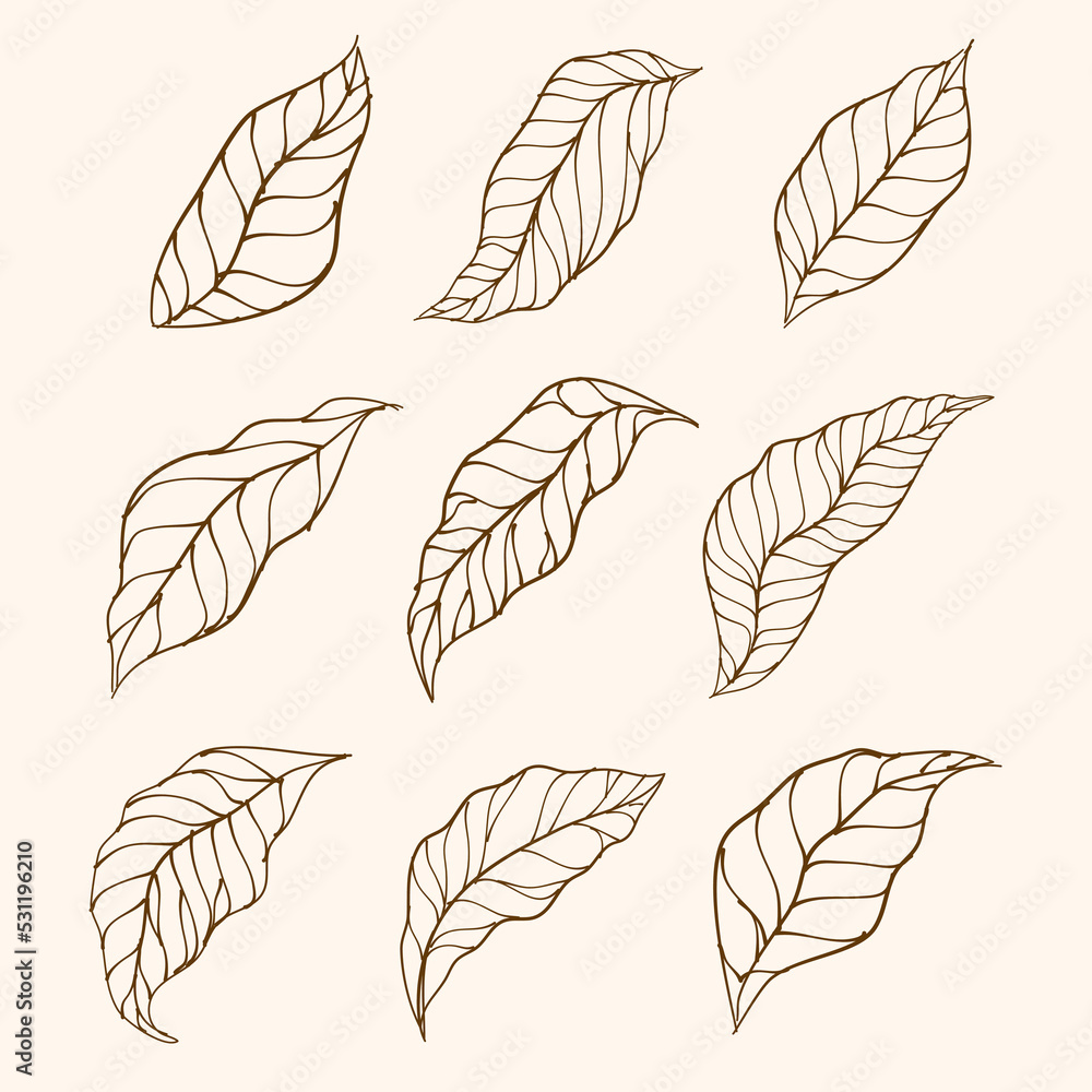 Set of leaves. Leaves Hand Drawn Doodle Line Art Outline Set Containing ...