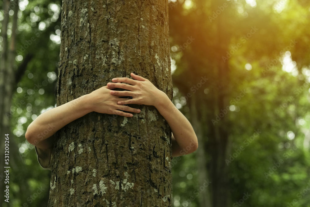 Child girl stand behind and give hug to tree in forest. Concept of ...