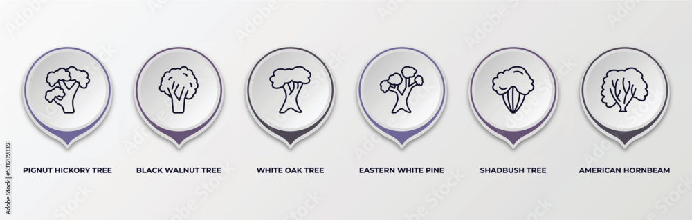 infographic template with outline icons. infographic for nature concept ...