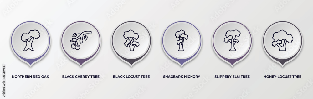 infographic template with outline icons. infographic for nature concept ...