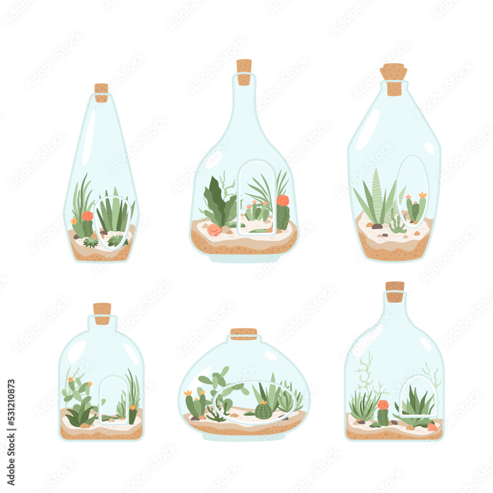 Florarium in bottle. Set of floral terrarium with cactus, succulents ...