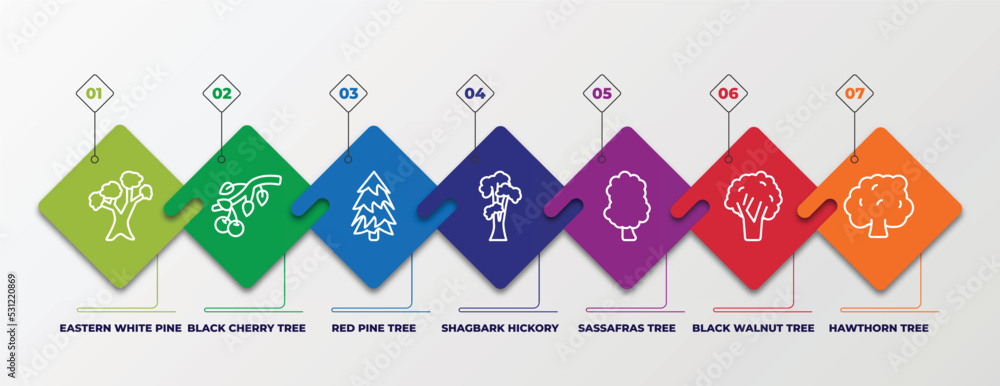 infographic template with linear icons. infographic for nature concept ...