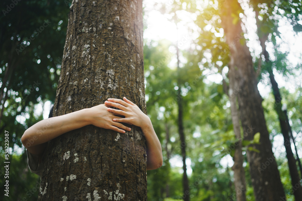young woman tree hugging in the forest in concept of people love nature ...