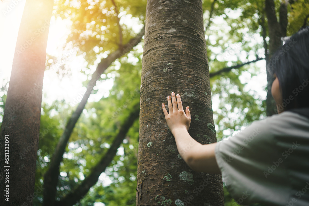 Human hand or young woman touching tree in the forest in concept of ...