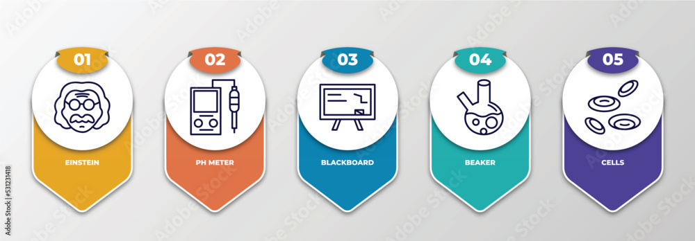 infographic template with thin line icons. infographic for science ...