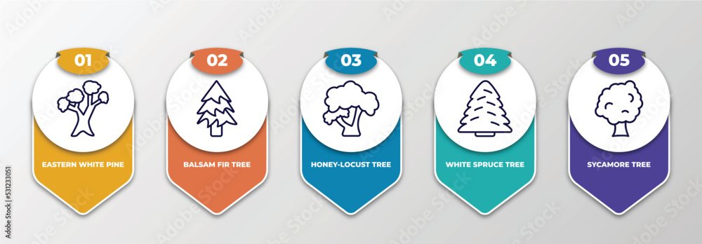 infographic template with thin line icons. infographic for nature ...