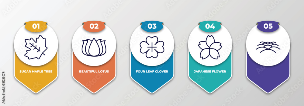 Vecteur Stock infographic template with thin line icons. infographic ...