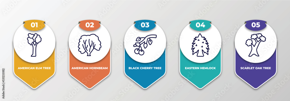 infographic template with thin line icons. infographic for nature ...